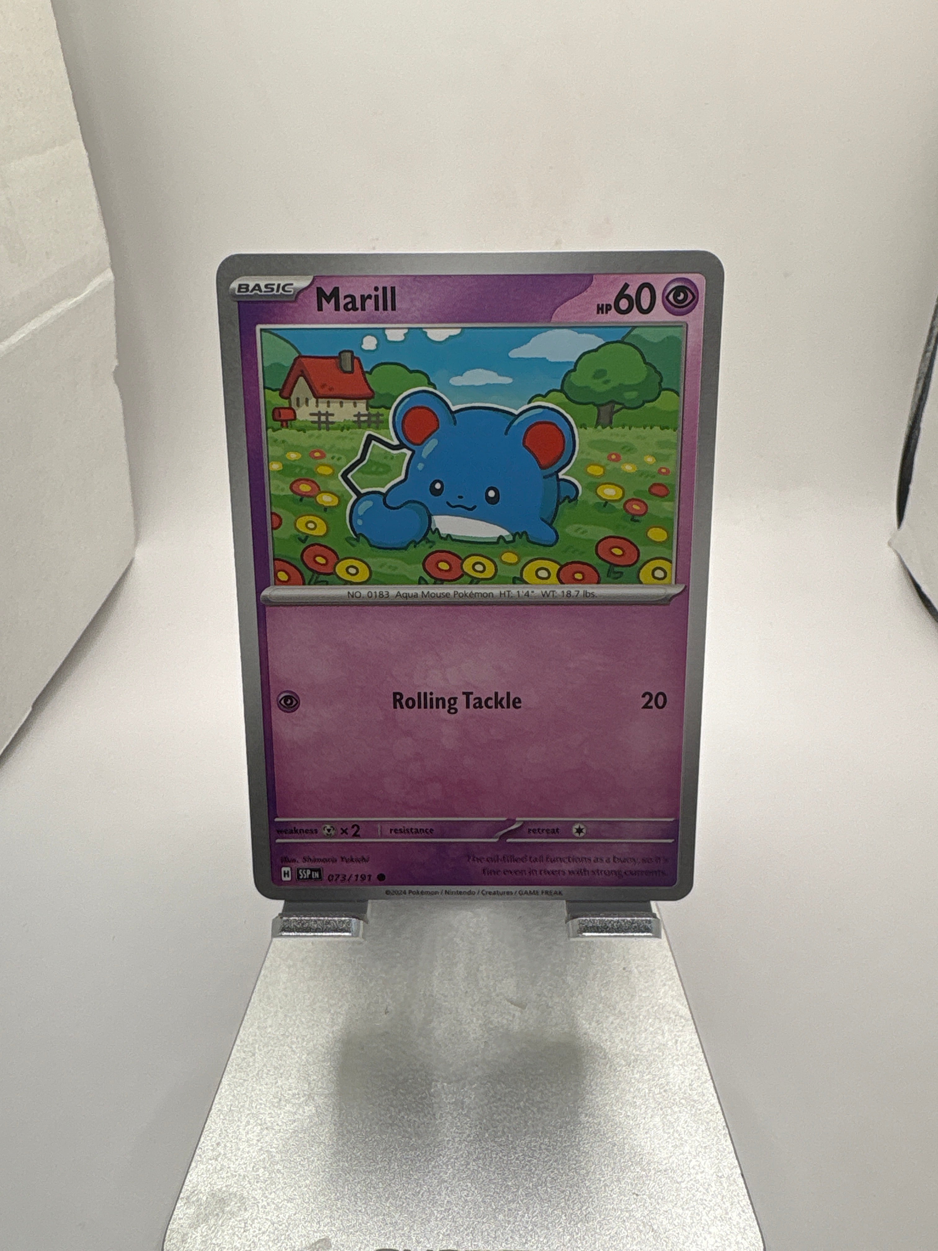 Pokemon Marill | S and E Hobbies and Collectables