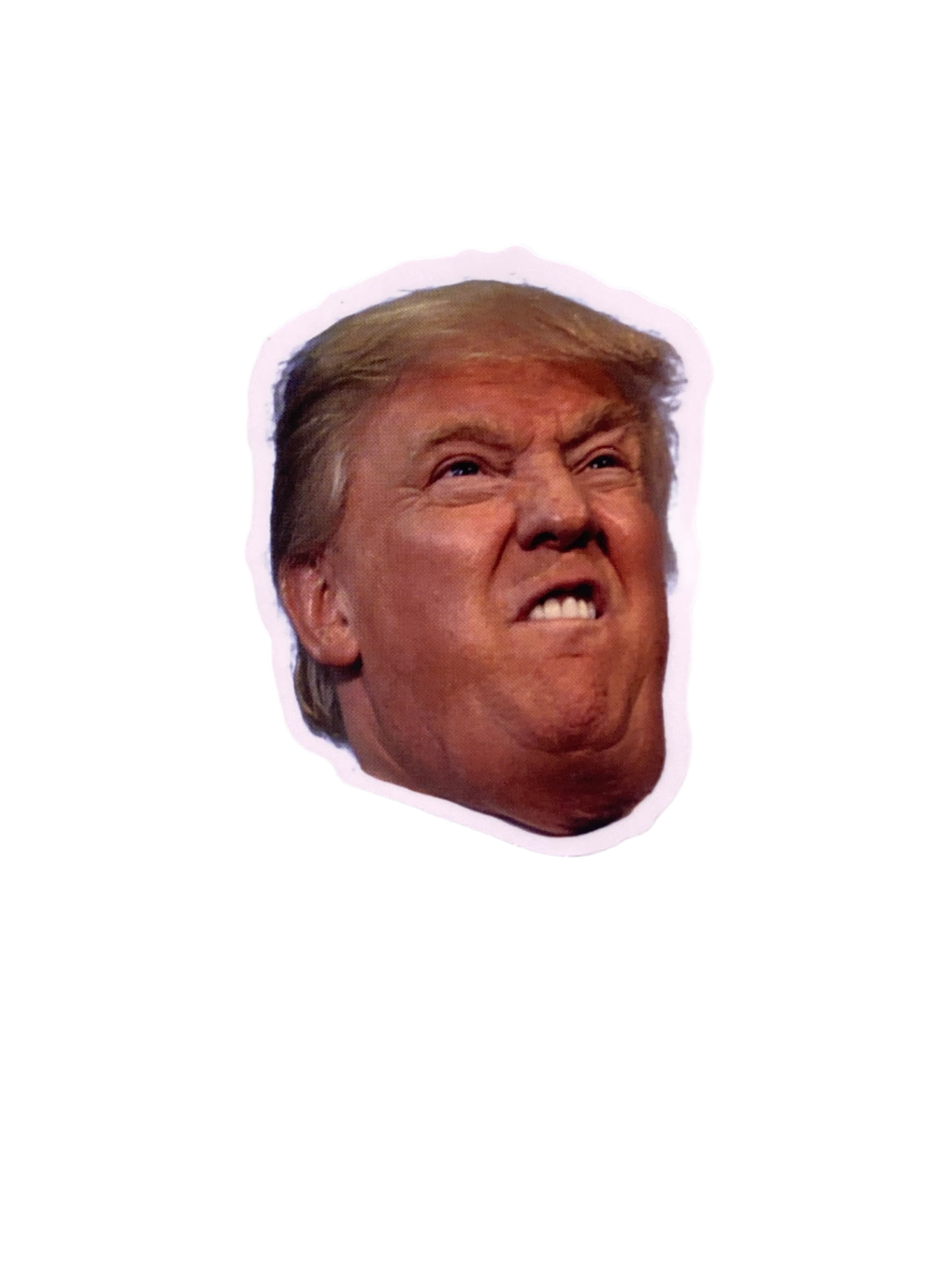 Donald Trump Sticker – S and E Hobbies and Collectables